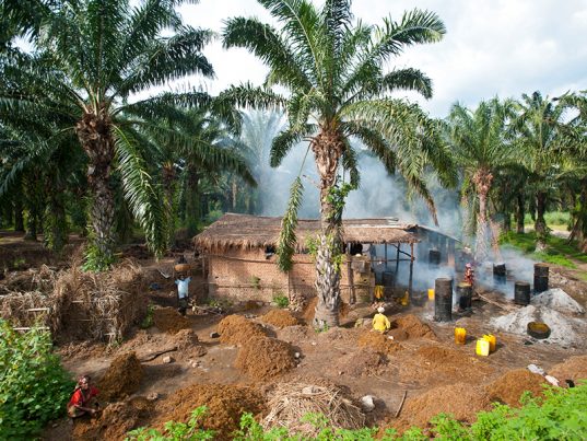 The Tropical Oil Crops Revolution – A More Sustainable Future? - The ...