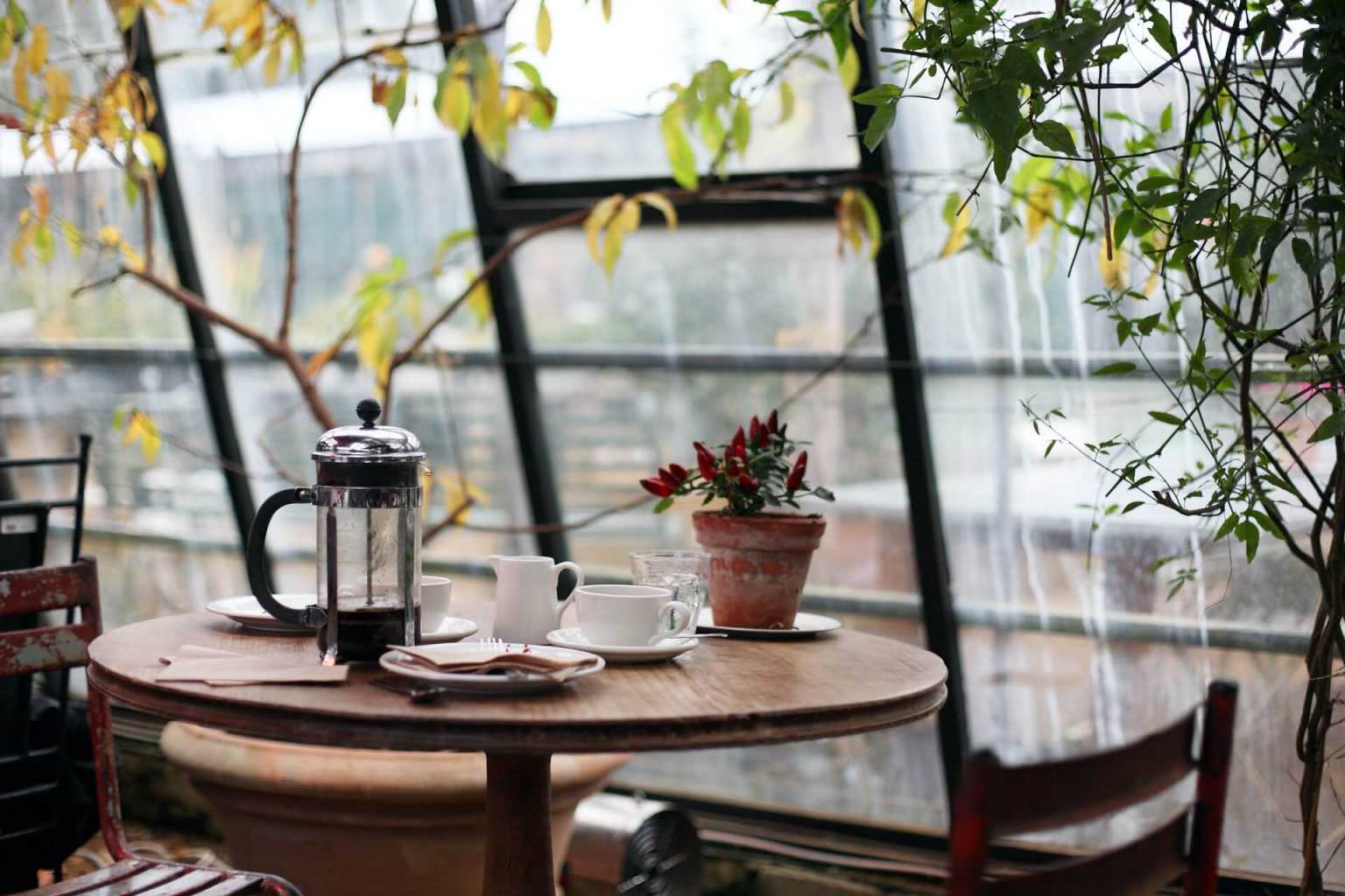 Reasons Why Owning A Coffee Shop Is A Great Business To Start The reasons-why-owning-a-coffee-shop-is-a-great-business-to-start-the