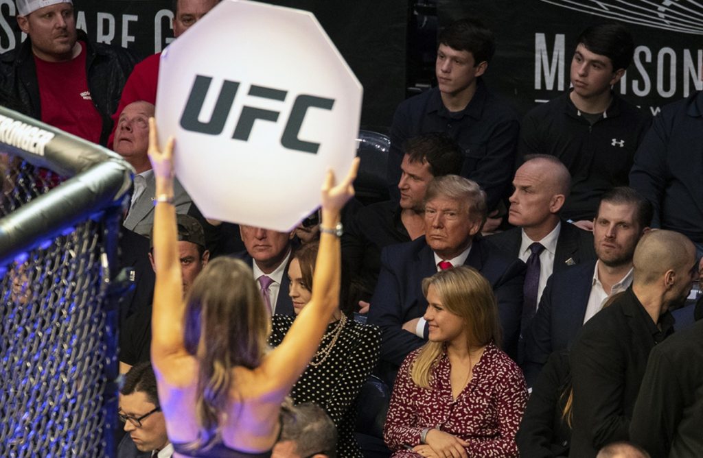 UFC Weight Classes Explained - The World Financial Review