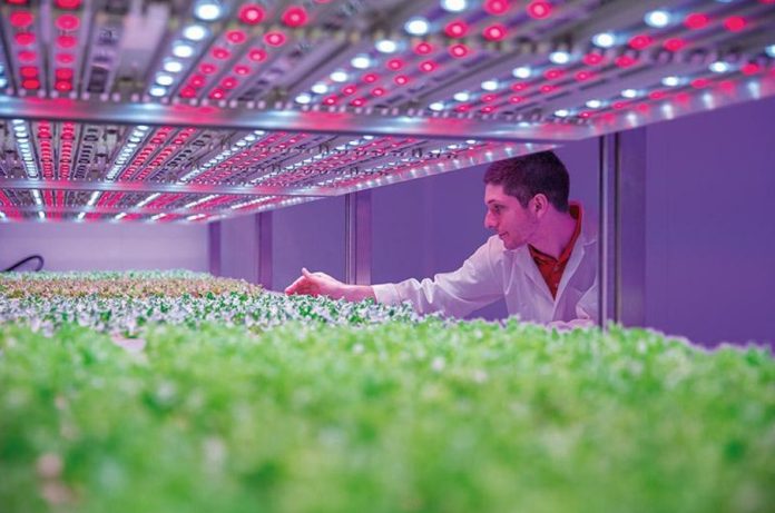 Sustainable Urban Deltas: An Alternative Food System that Meets the ...