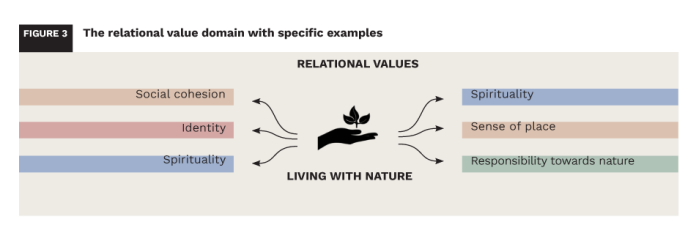 The Valuation of Nature after the Pandemic Seeing More Than ...