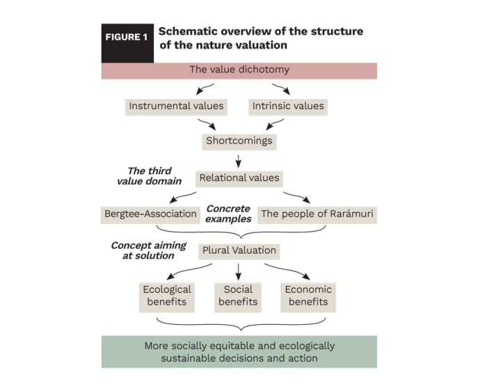 The Valuation of Nature after the Pandemic Seeing More Than ...