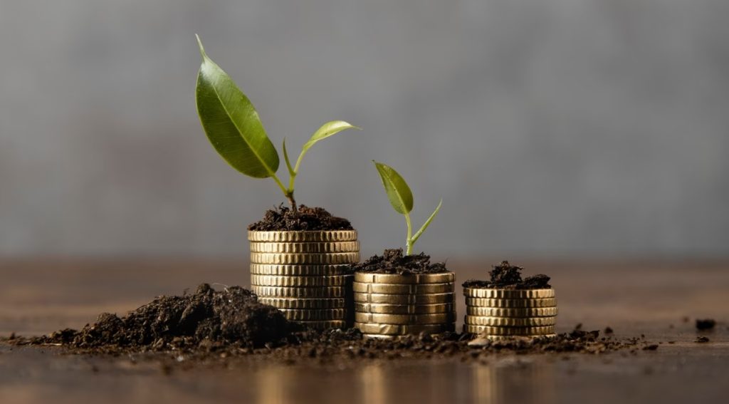 The Power of Financial Education: Building Wealth Through Financial ...